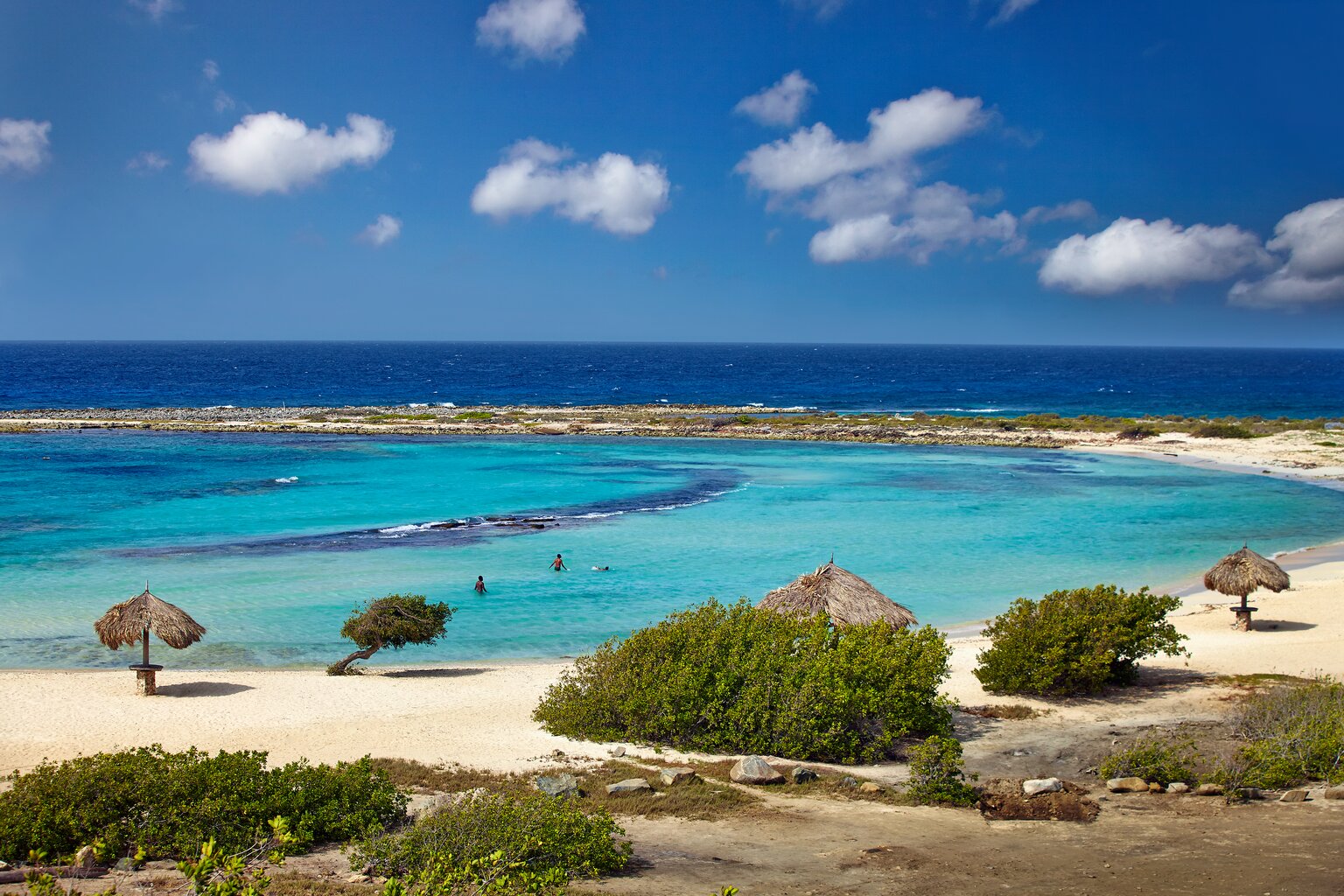 6 playas imperdibles de Aruba (una es la mejor del Caribe) - Pasaje en Mano