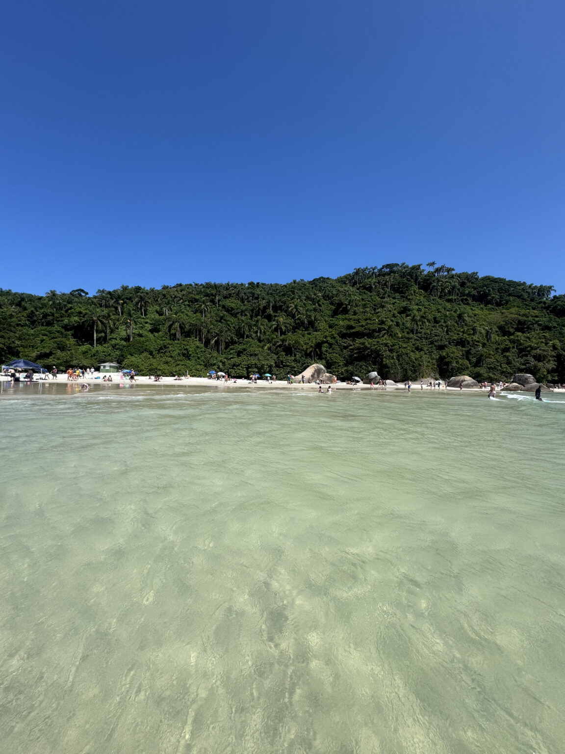 Isla de Campeche: todo lo que tenés que saber para visitar la playa más ...